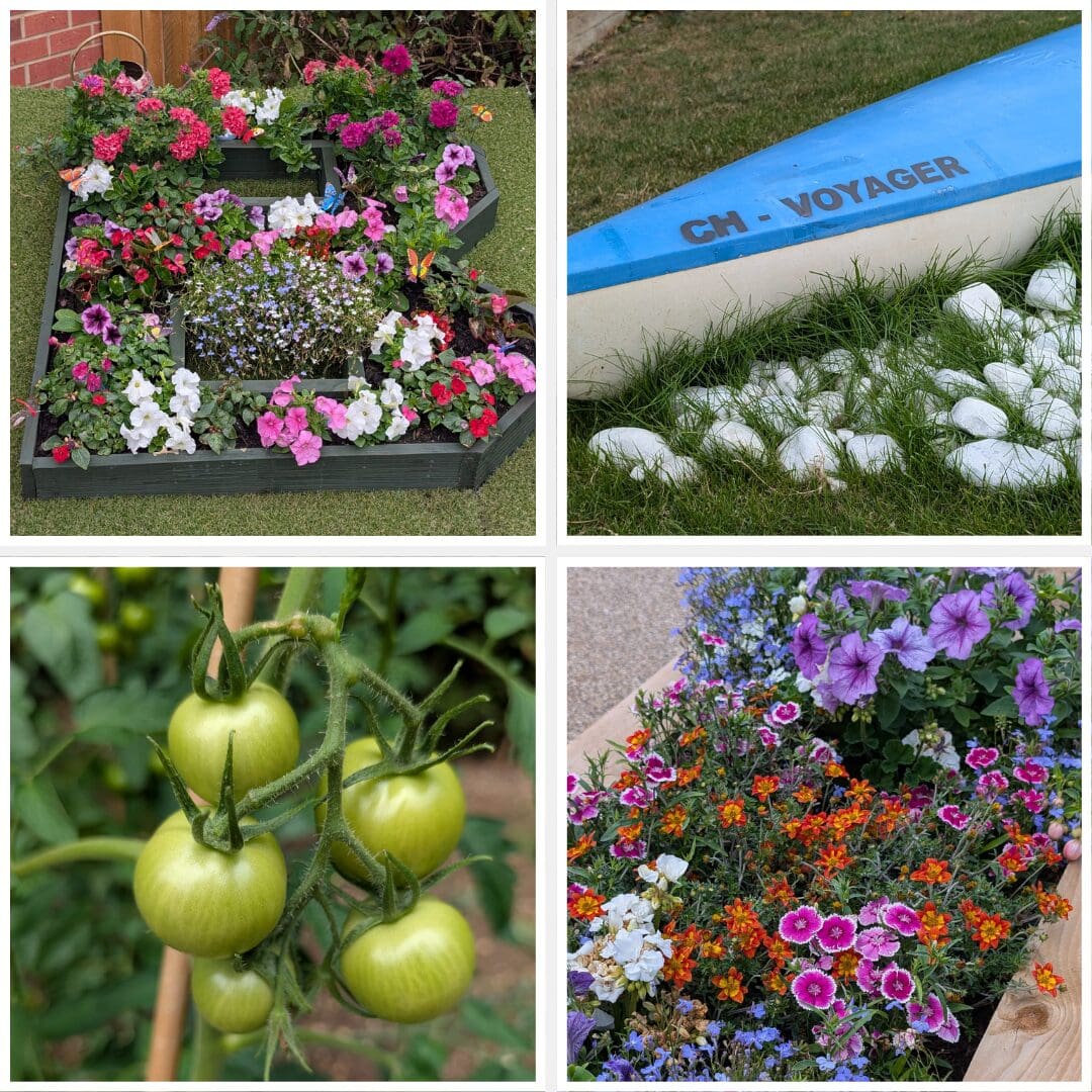 Celebrating Boutique in Bloom: Our Boutique Care Home Garden ...